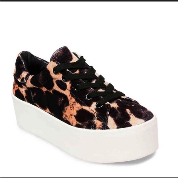 Steve Madden | Shoes | Steve Madden Palmer Leopard Platform Sneakers ...